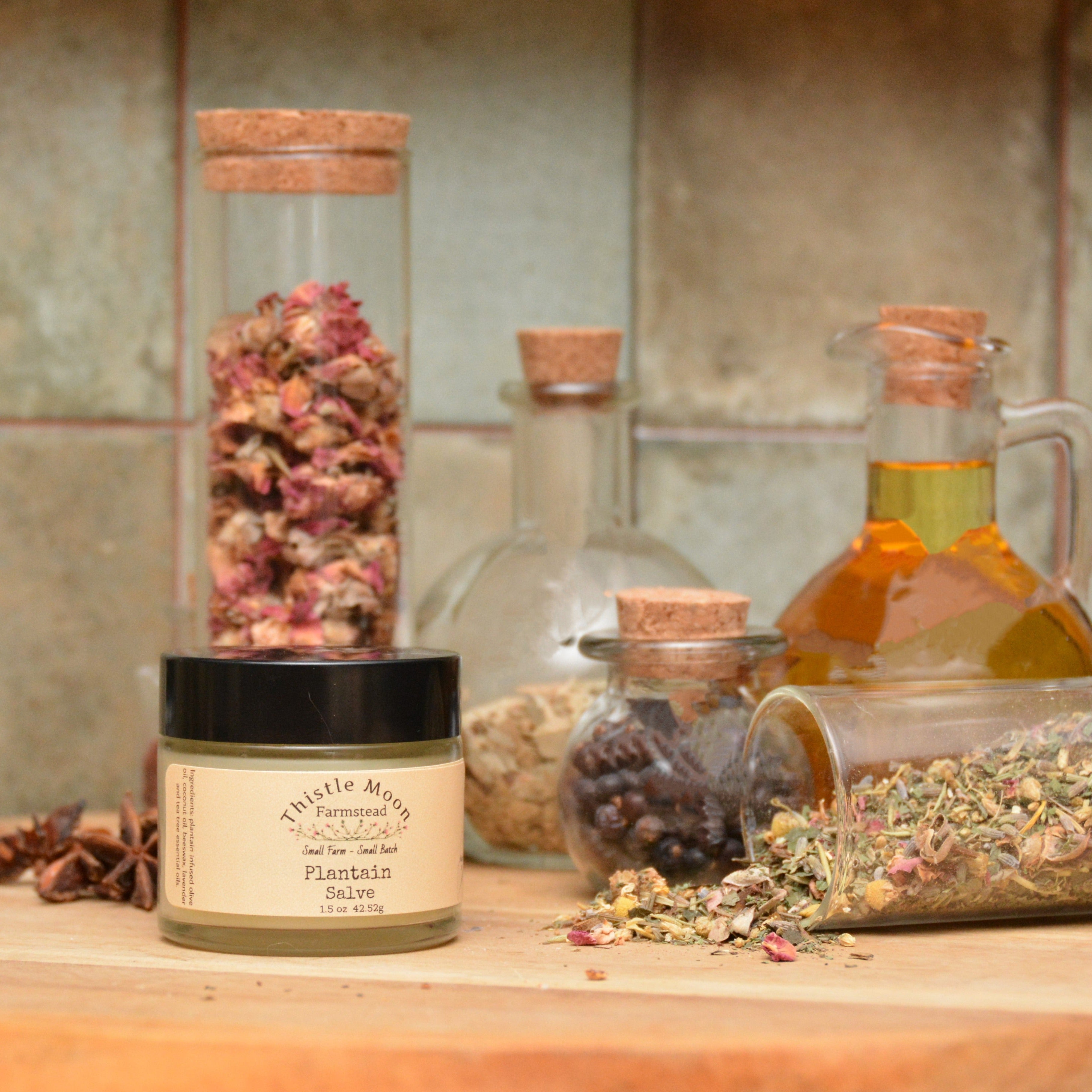 Plantain Salve – Thistle Moon Farmstead